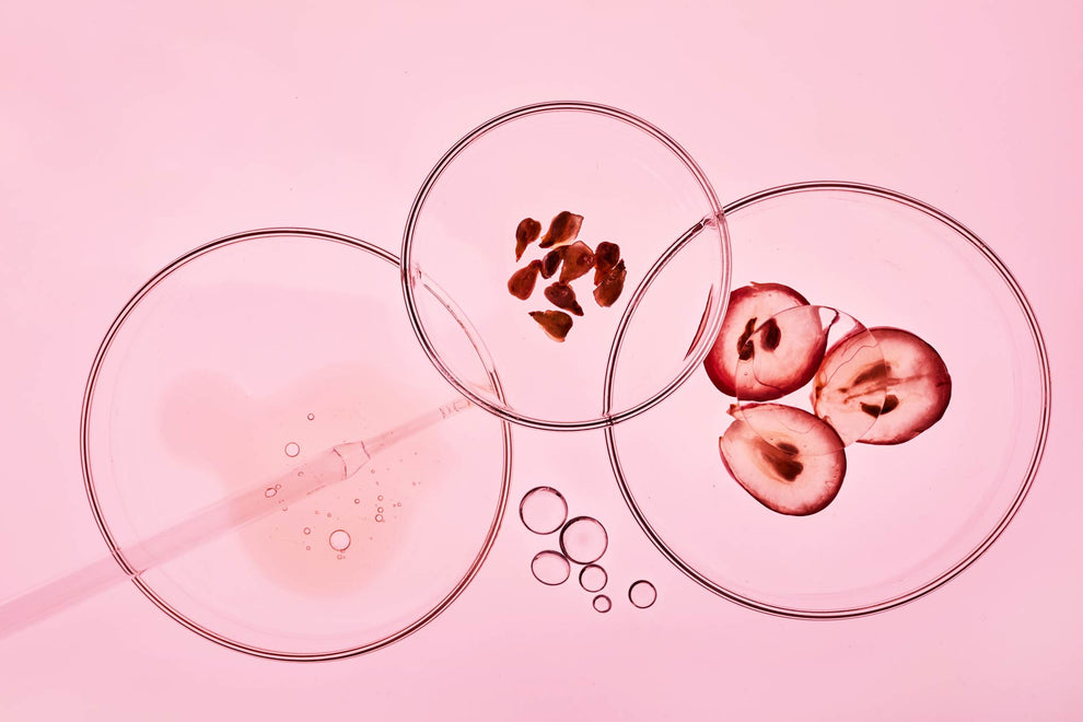 Cosmética natural premium | Levid Cosmetics 🍇